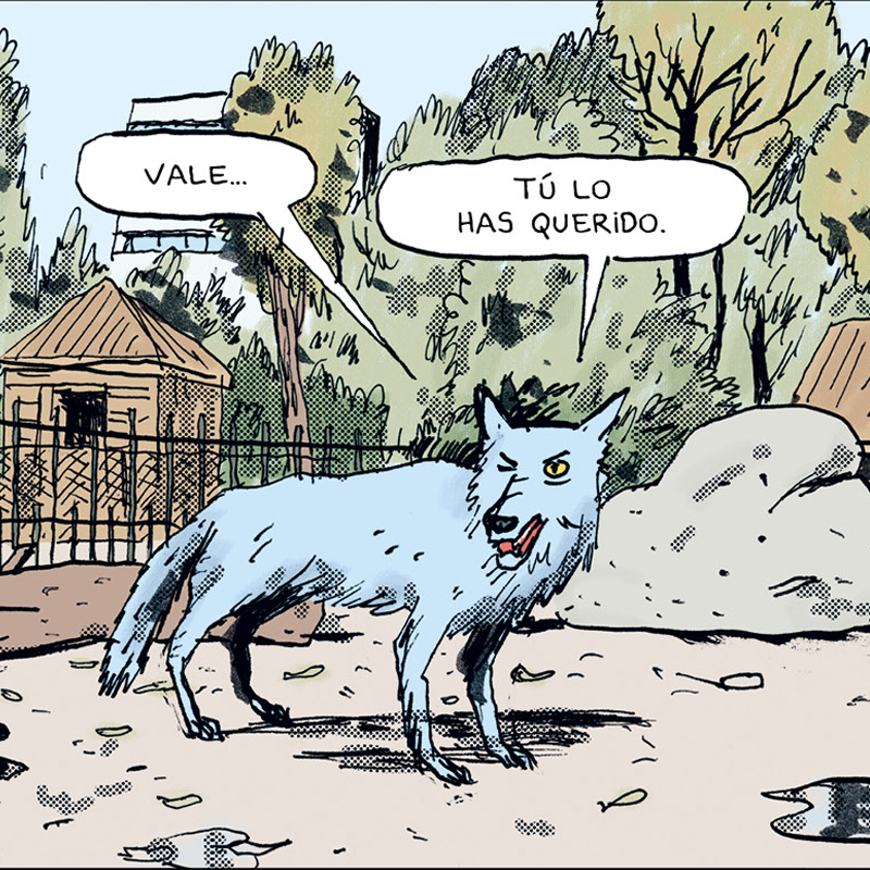 El Ojo del Lobo: Un intercambio de miradas